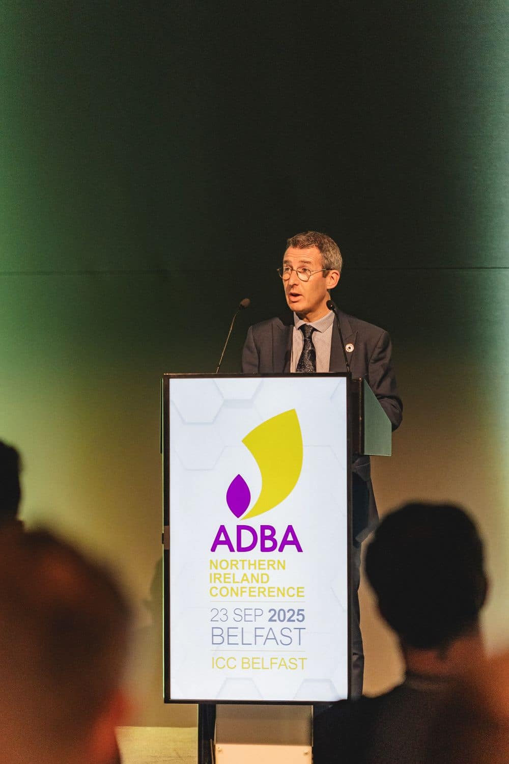 Northern Ireland – a land of opportunity for AD: reflections on another ...